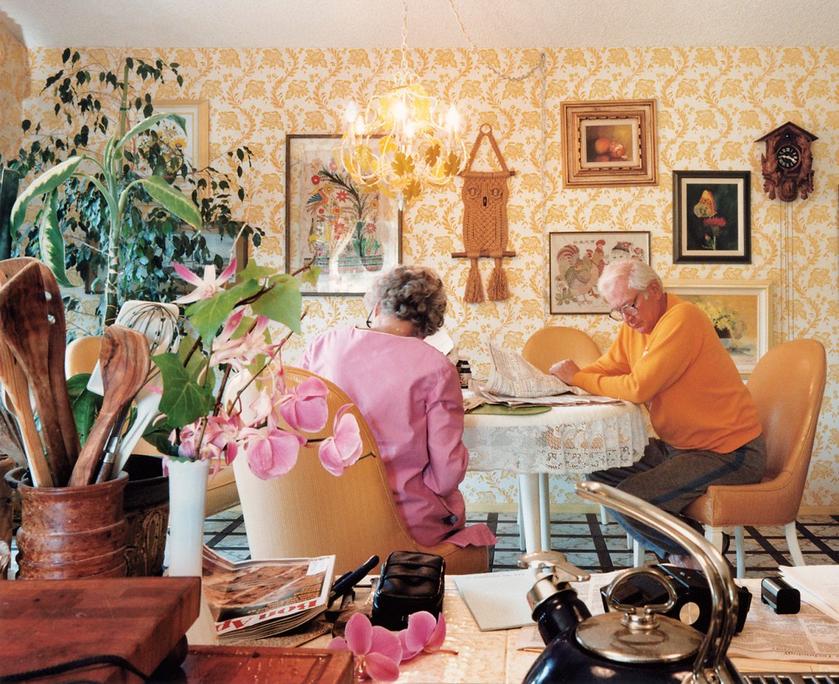 Larry Sultan Pictures from Home - Larry Sultan