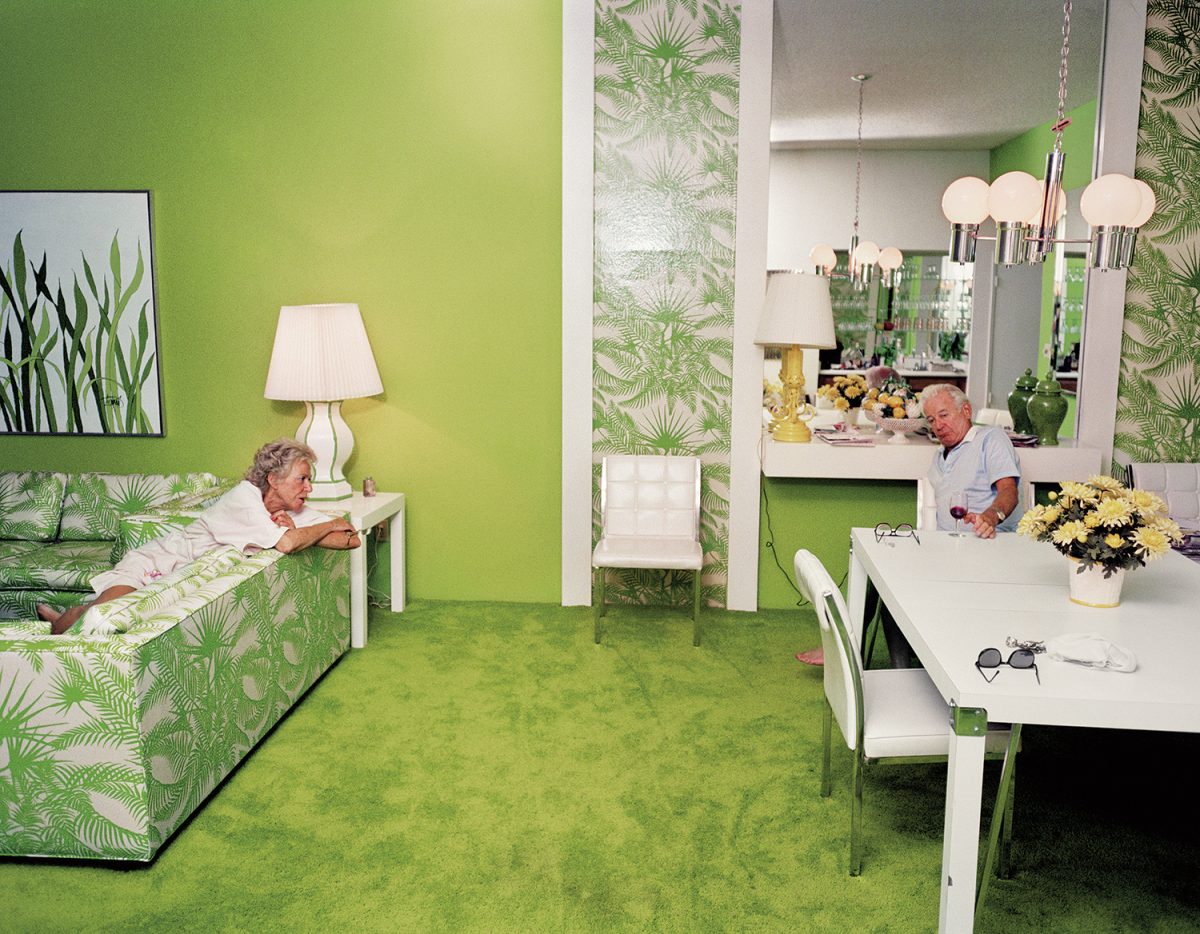 Larry Sultan Pictures from Home - Larry Sultan