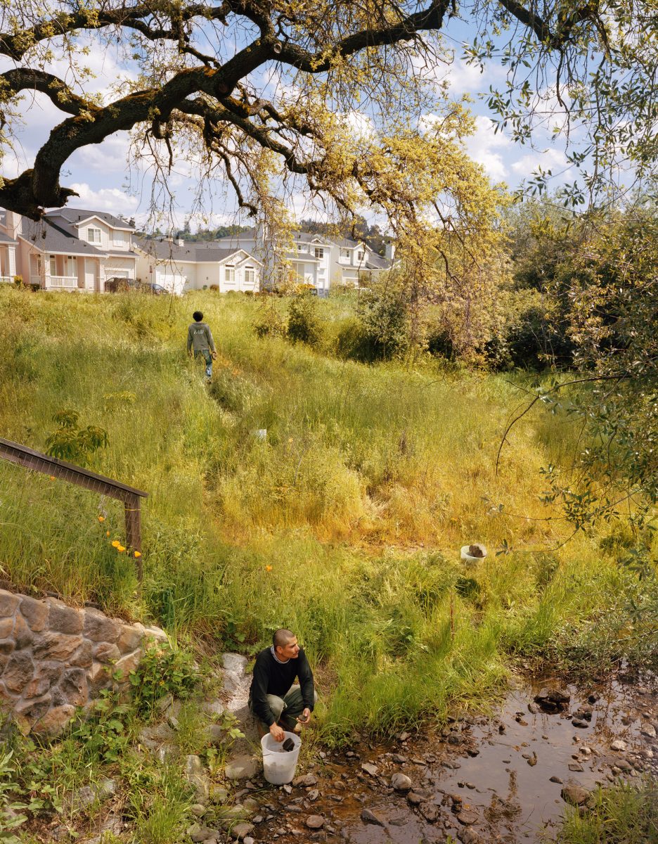 Larry Sultan Homeland - Larry Sultan